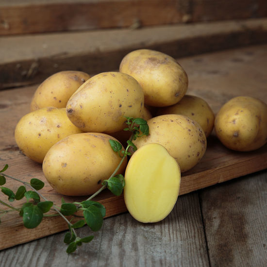 Potatis Taisiya 2kg. Gårdsbutiken på nätet - Vi levererar i Örebro